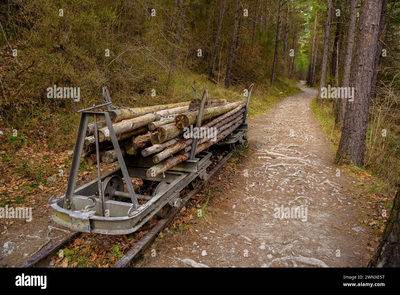 Via de tren bosque hi-res stock photography and images - Alamy