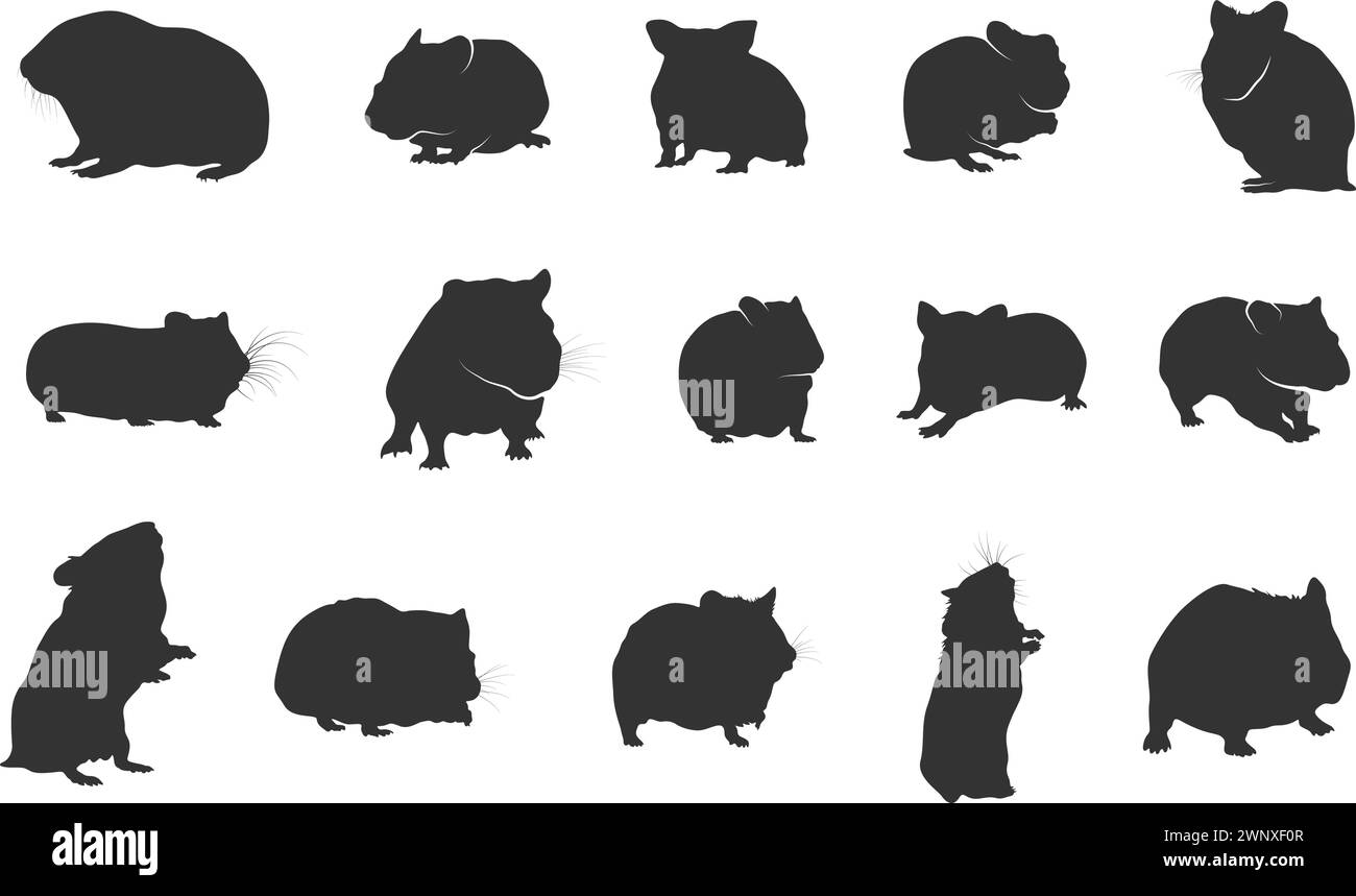 Hamster silhouettes, Hamster vector, Hamster clipart, Hamster icon ...