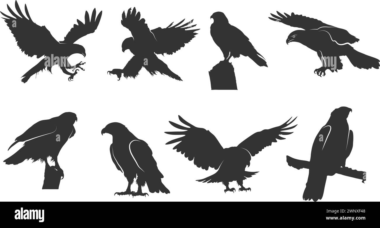 Hawk drawing Stock Vector Images - Alamy