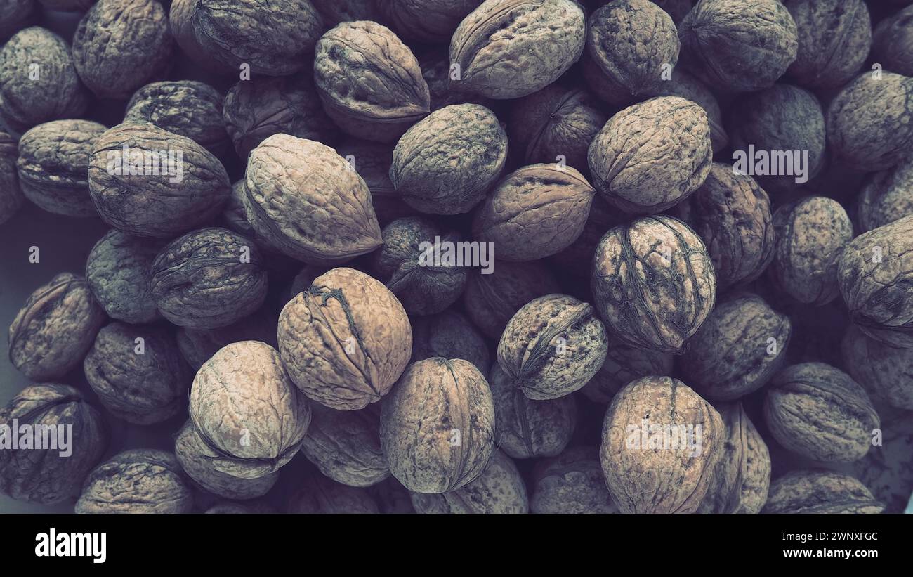 Lots of walnuts close up. Unpeeled walnuts with shells. A bunch of nuts ...