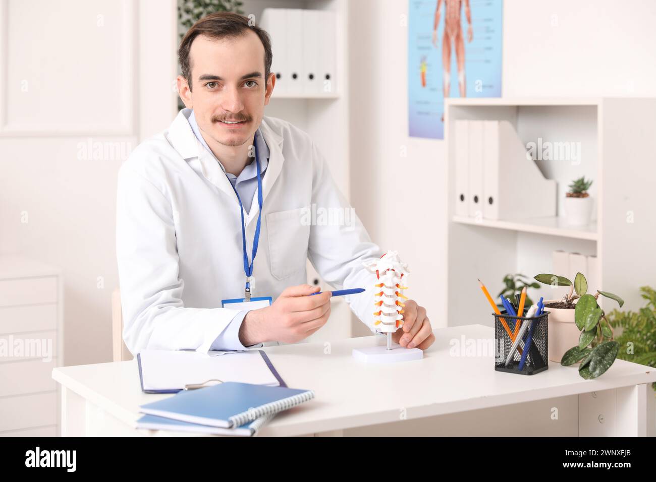 Male doctor demonstrating spinal anatomy with vertebral column model in ...
