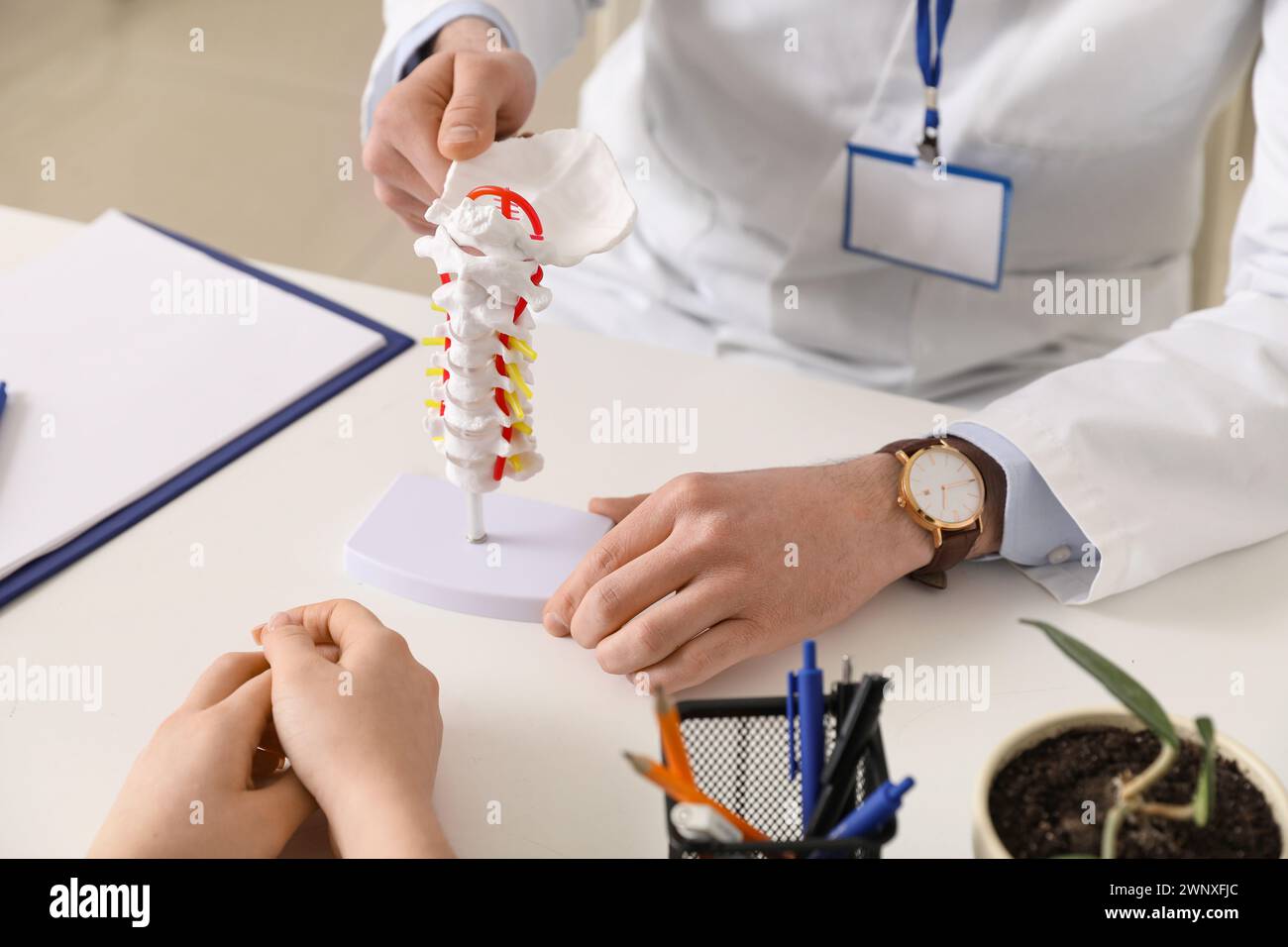 Male doctor explaining spinal anatomy with vertebral column model to ...
