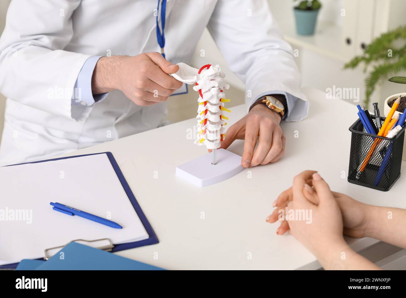Male doctor explaining spinal anatomy with vertebral column model to ...