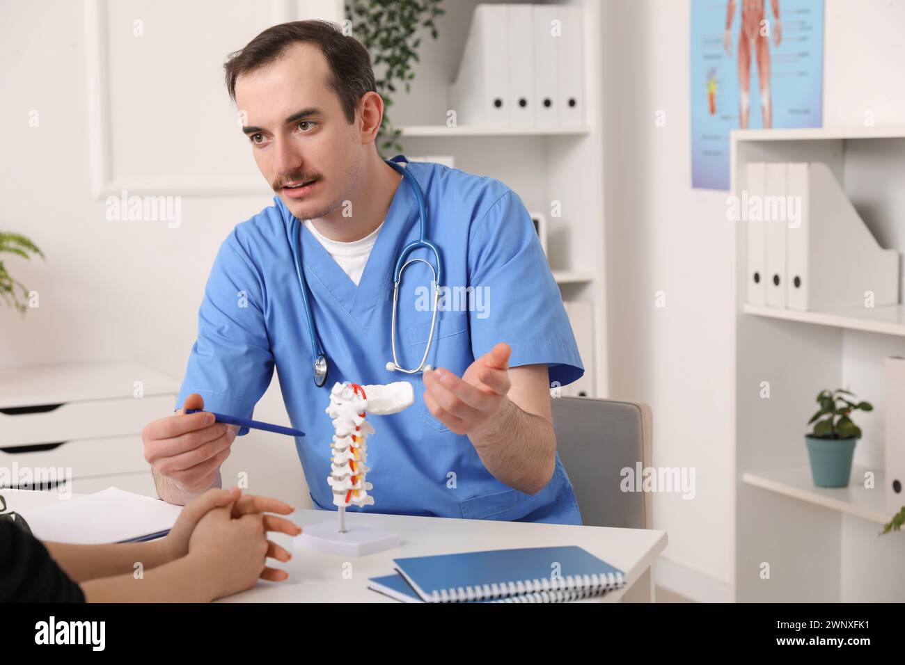 Male doctor explaining spinal anatomy with vertebral column model to ...