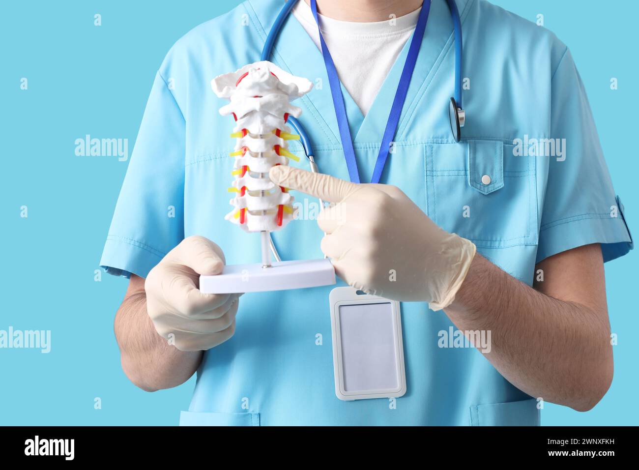 Male doctor demonstrating spinal anatomy with vertebral column model on ...