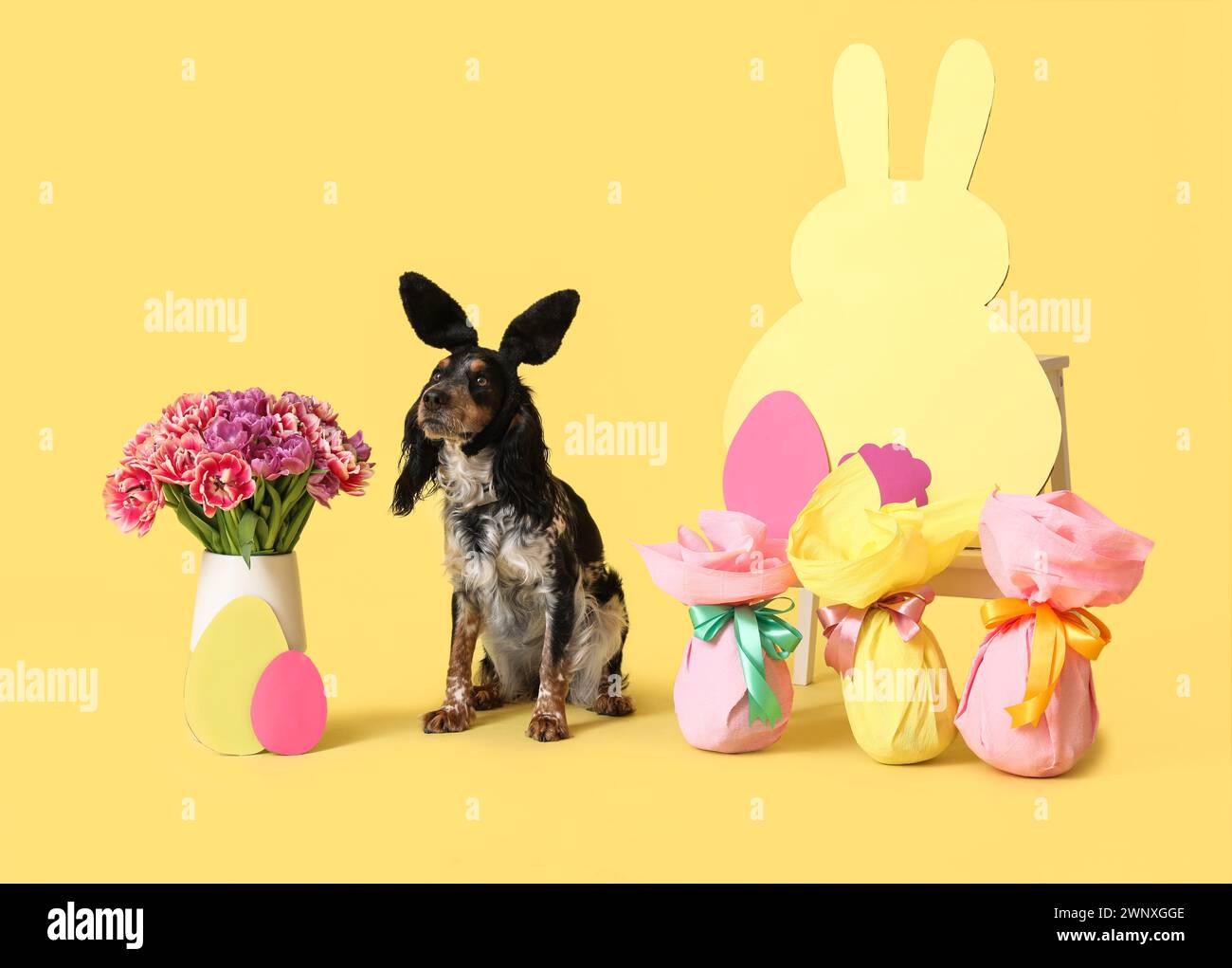 Cute cocker spaniel in bunny ears with Easter gift eggs, paper rabbit ...