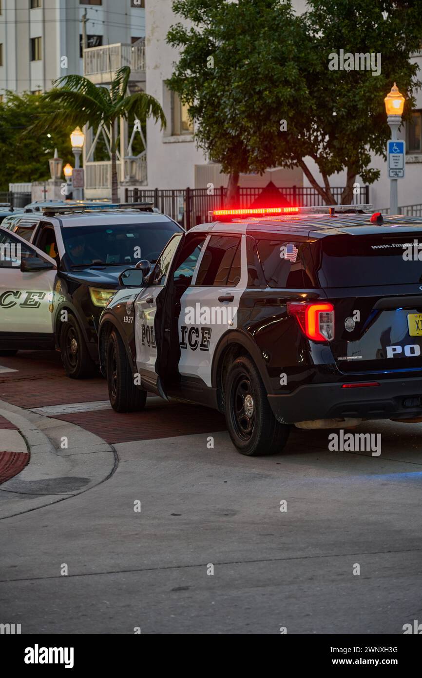 Police activity, police, cops, cars, crime scene. US Policing and US ...