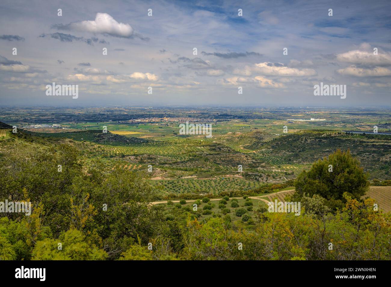 Niebla de la colina hi-res stock photography and images - Alamy