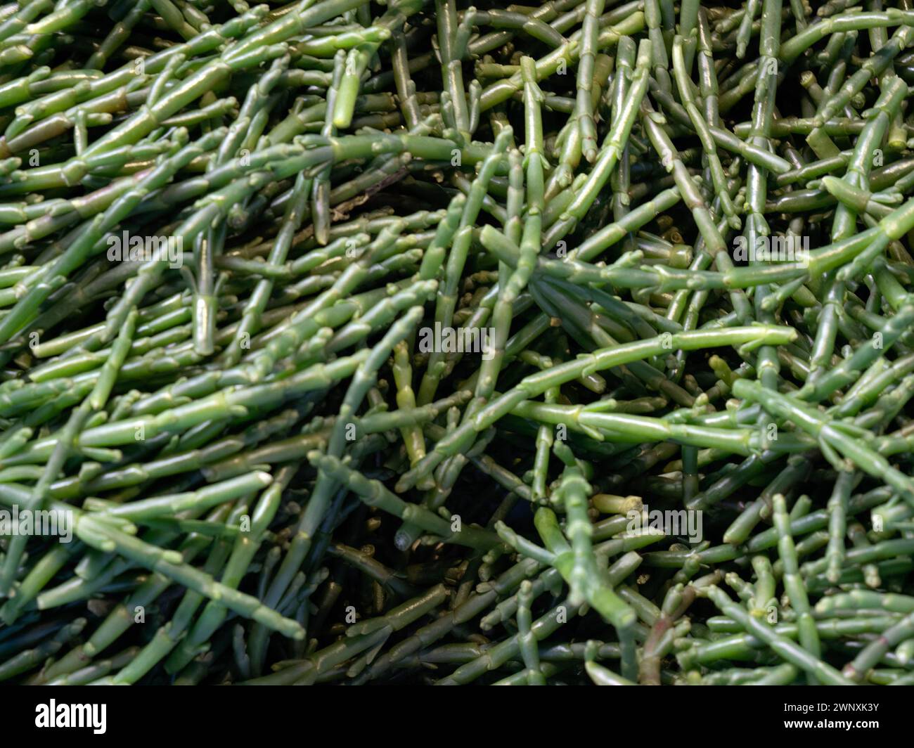 Cl20240224 hi-res stock photography and images - Alamy