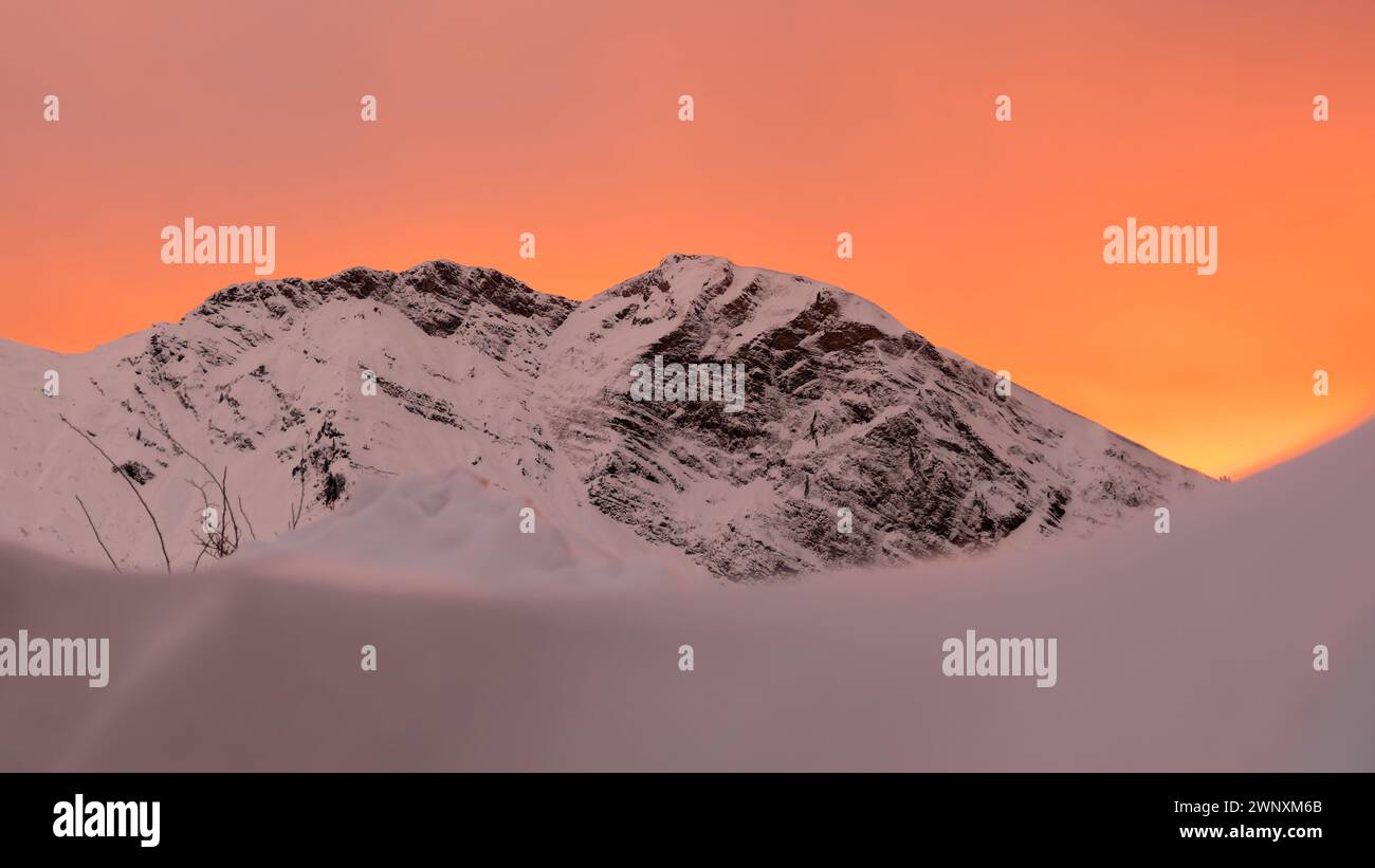 Beautiful golden tones hi-res stock photography and images - Alamy