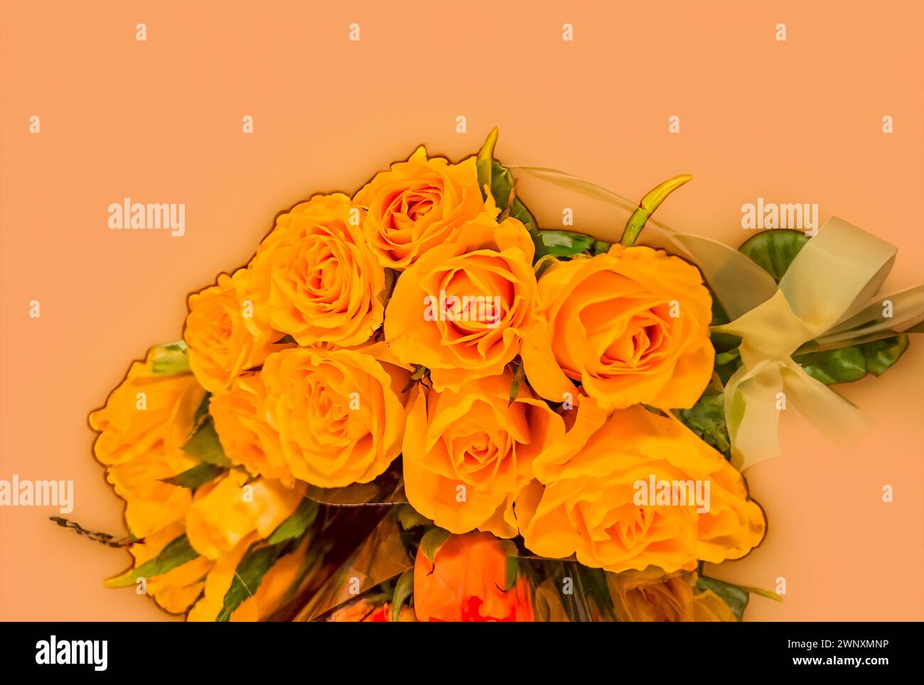 Bouquet of beautiful yellow roses on Peach Fuzz background, fresh ...