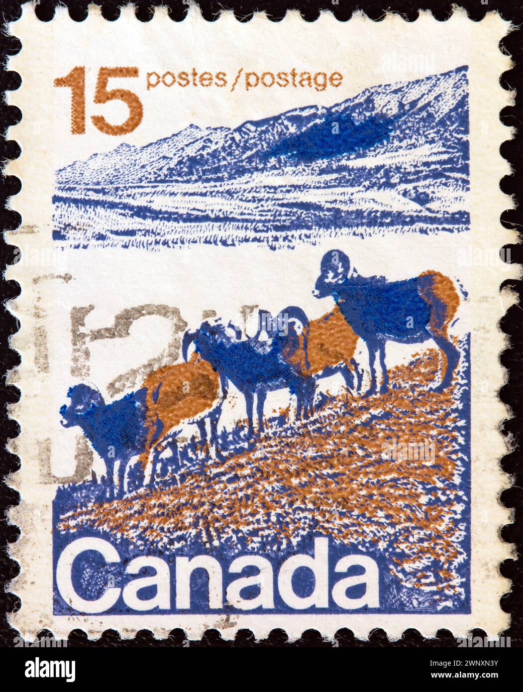 CANADA - CIRCA 1972: A stamp printed in Canada shows American bighorns ...