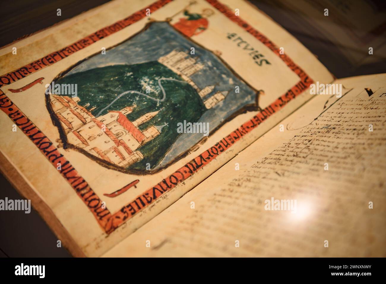 The Ferrat book, which collects some of the privileges of Llívia and ...