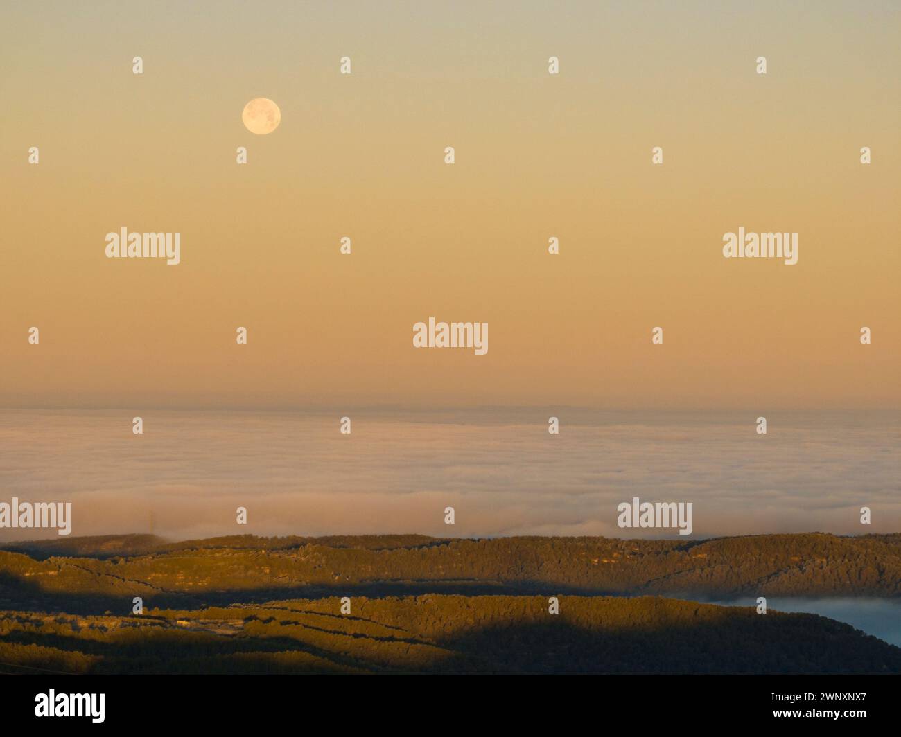 Luna llena de invierno hi-res stock photography and images - Alamy