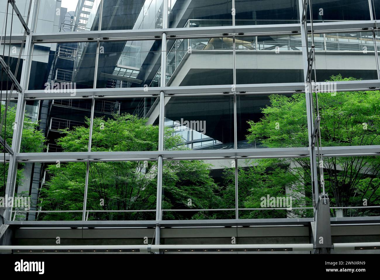 Tokyo Street View “Plants that live in the city” Stock Photo - Alamy