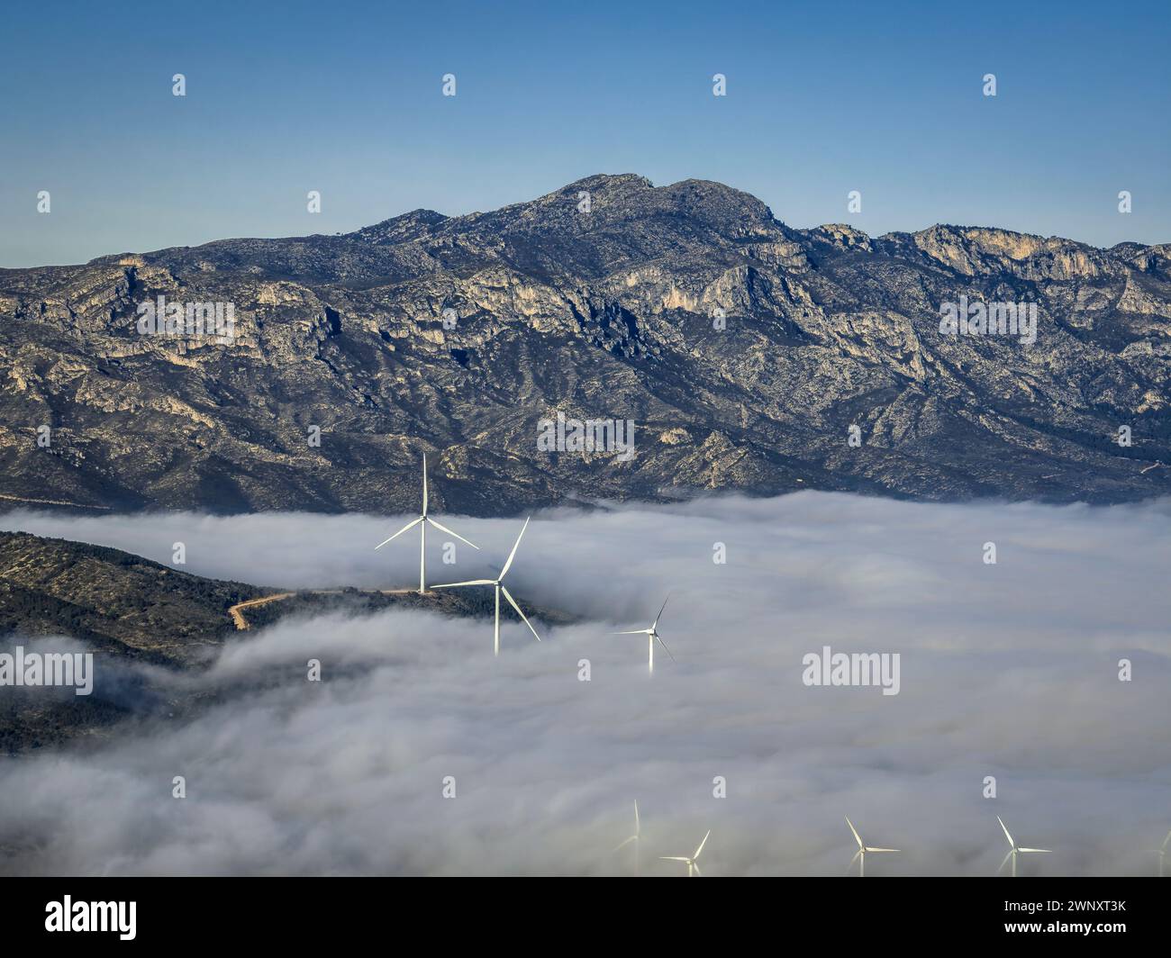 Reserva de la biosfera el cielo hi-res stock photography and images - Alamy