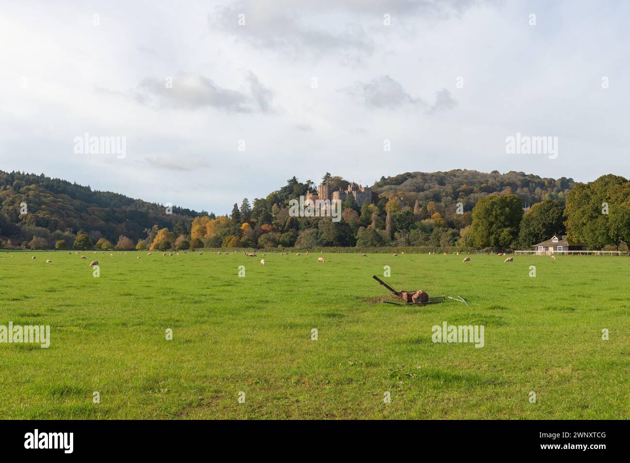 Landscape photo of the autumn colours at Dunster castle in Somerset ...