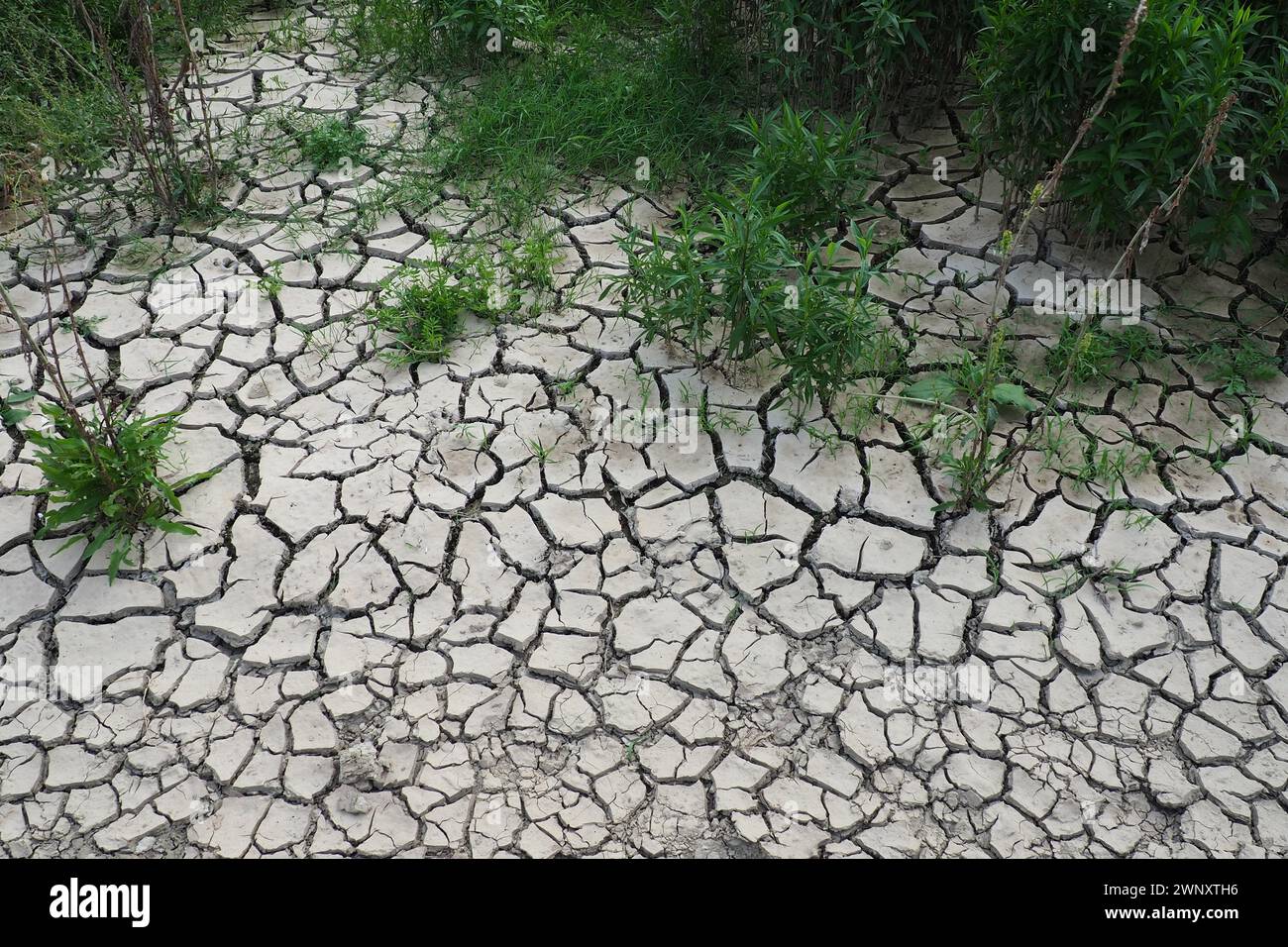 The ground has cracks in the top view for the background or graphic ...