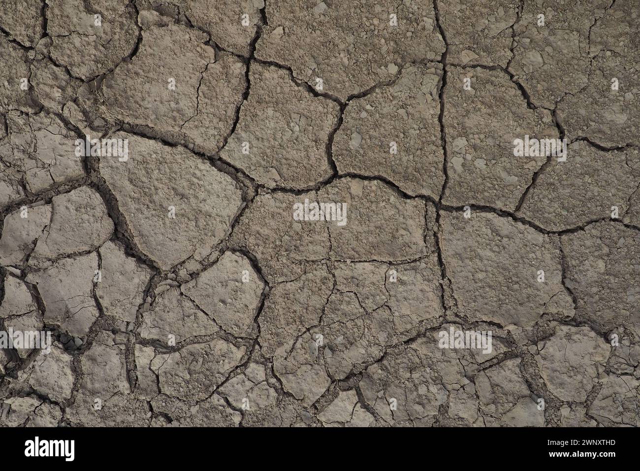 The ground has cracks in the top view for the background or graphic ...