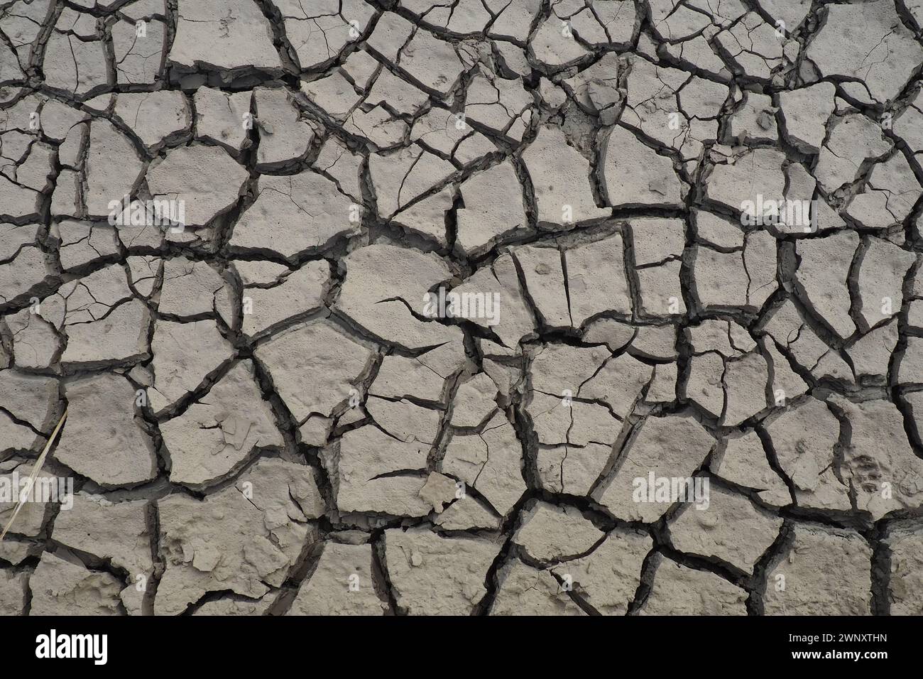 The ground has cracks in the top view for the background or graphic ...