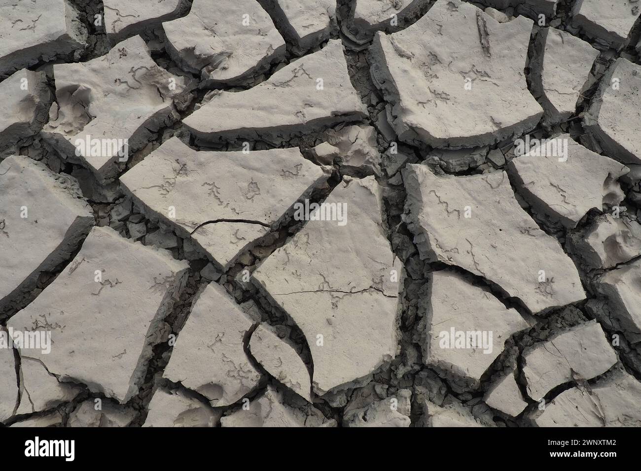 The ground has cracks in the top view for the background or graphic ...