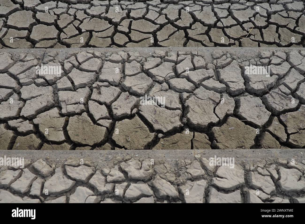 The ground has cracks in the top view for the background or graphic ...