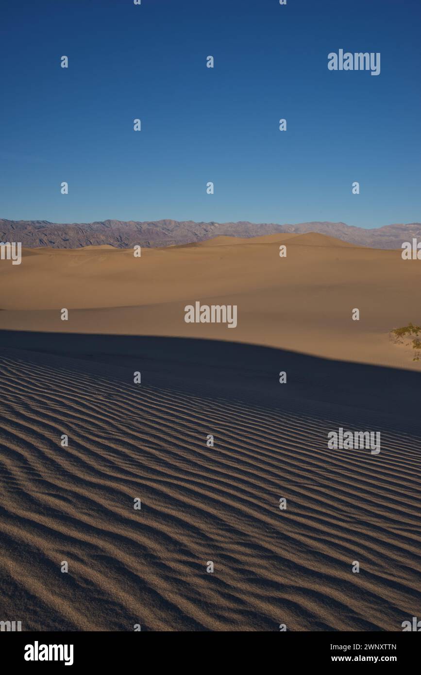 Hot sunrise in desert hi-res stock photography and images - Alamy