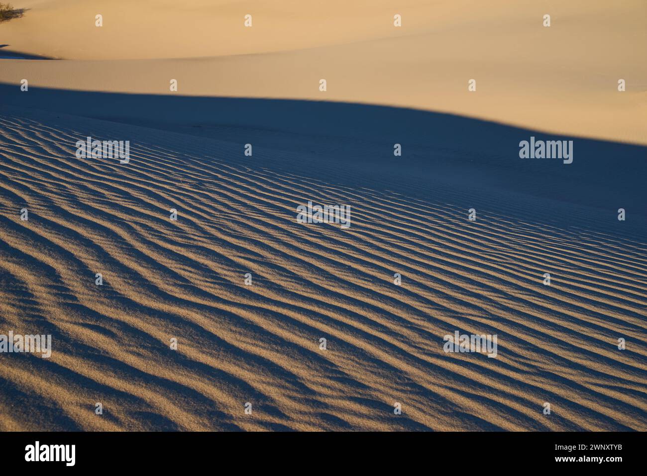 Sand ripples in a deep desert Stock Photo - Alamy