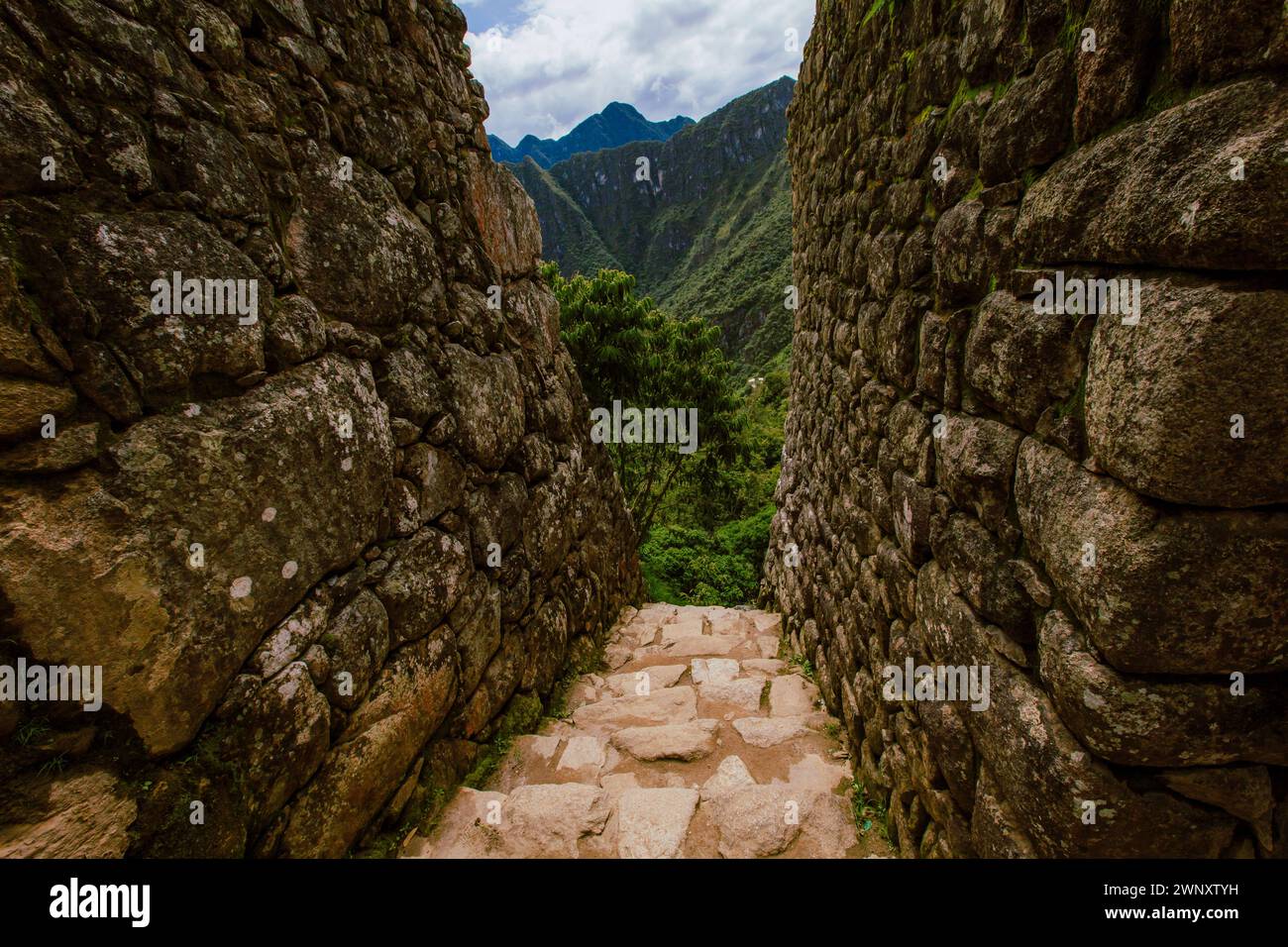 Stone stairs in the Inca citadel Machupicchu, Peru Stock Photo - Alamy