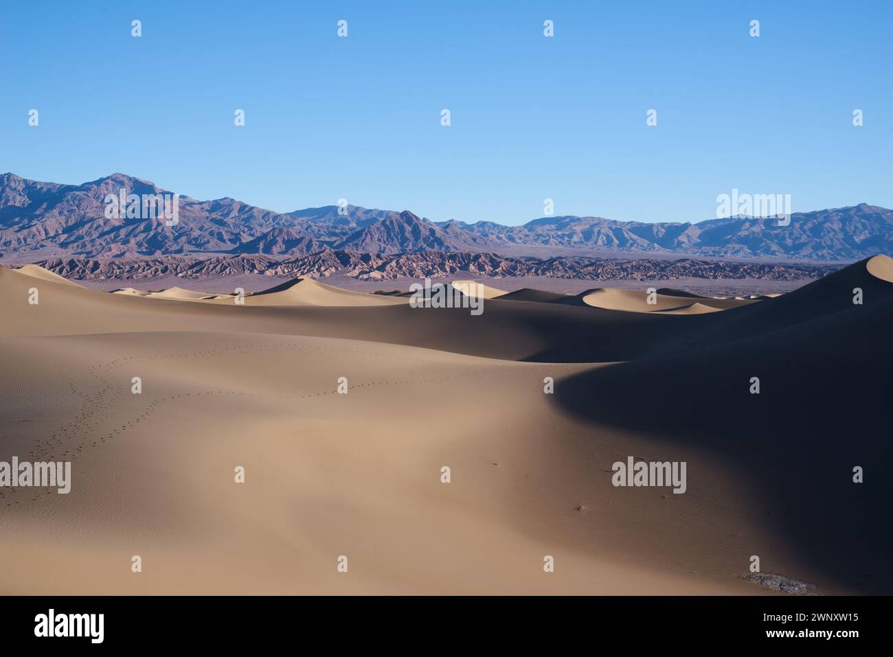 Deep desert hi-res stock photography and images - Alamy