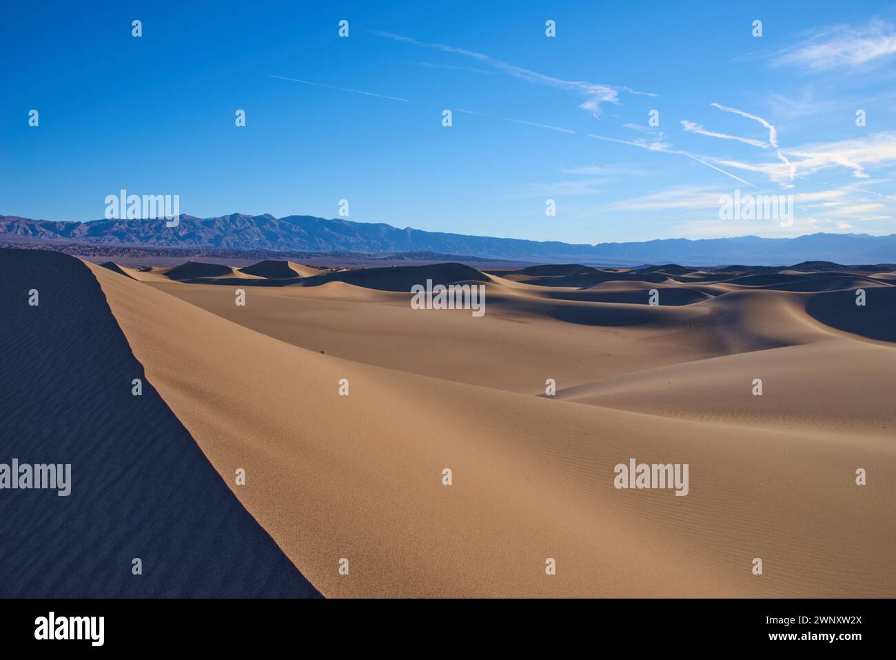 Saudi Arabia - deep desert, sand dunes and isolation Stock Photo - Alamy