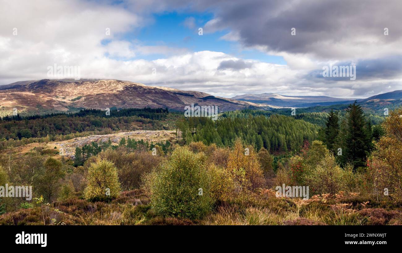 Queen Elizabeth Forest Park, Achray Forest area looking over to the ...