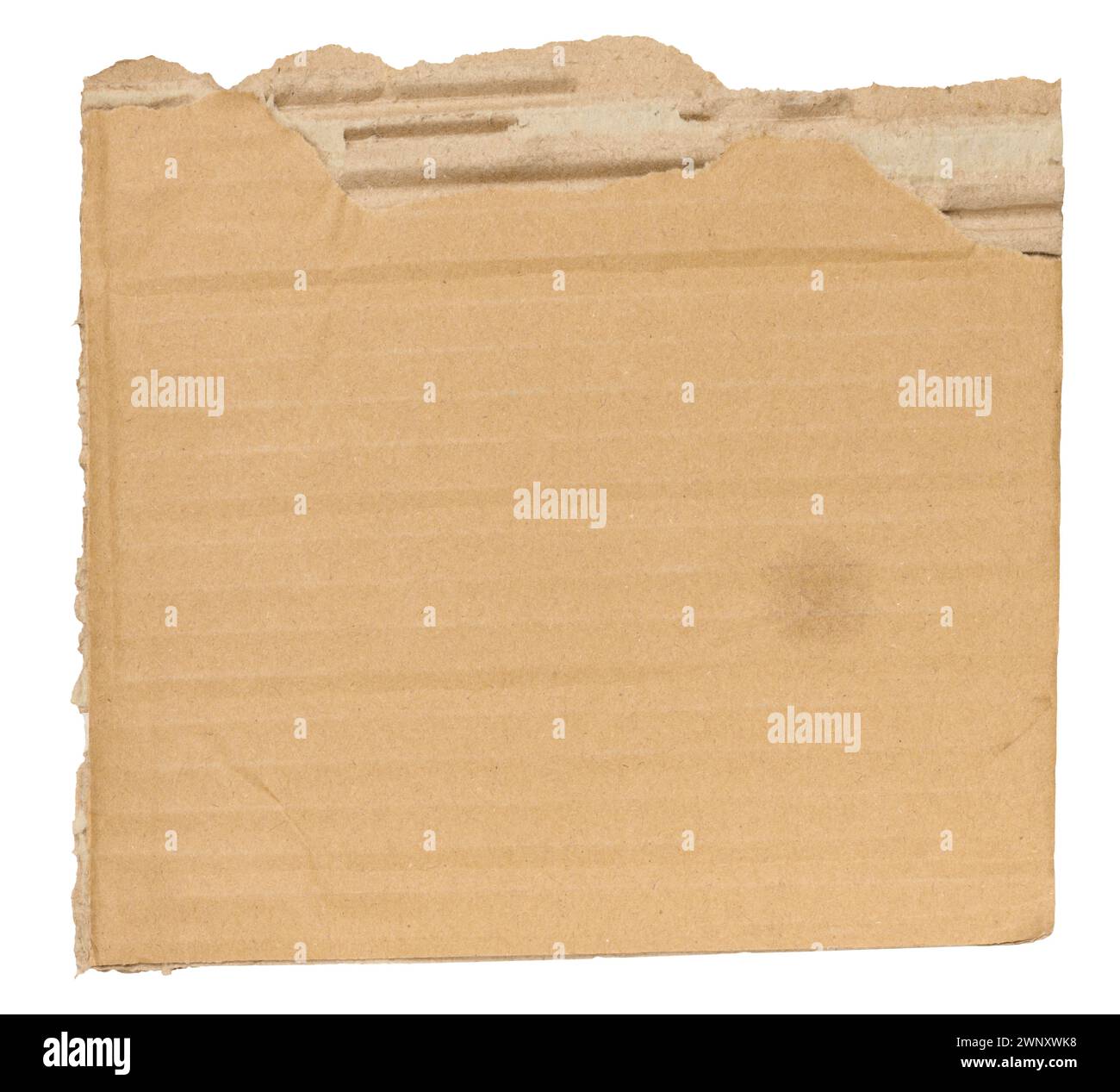Piece of brown cardboard with torn edges on isolated background, close ...