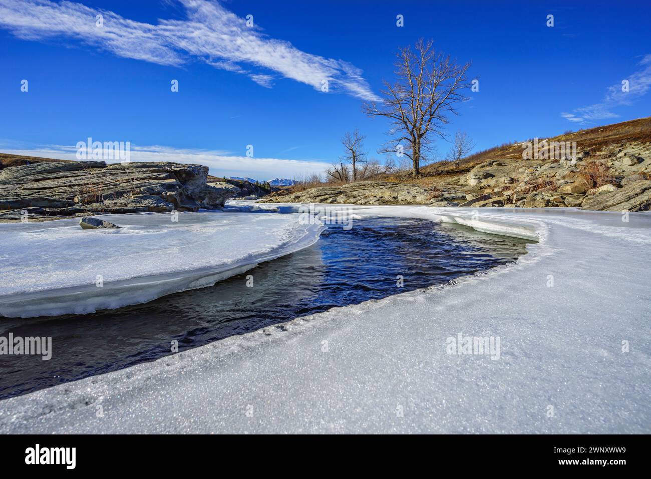 Thick ice built up along the edges of the Oldman River begins to melt ...