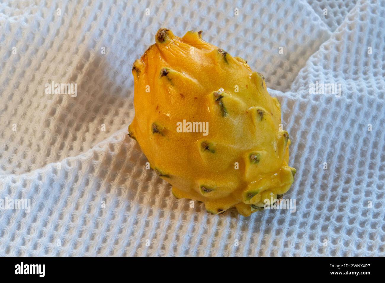 Frieda's Honey Dragon Fruit, also known as Pitaya, is the sweetest ...