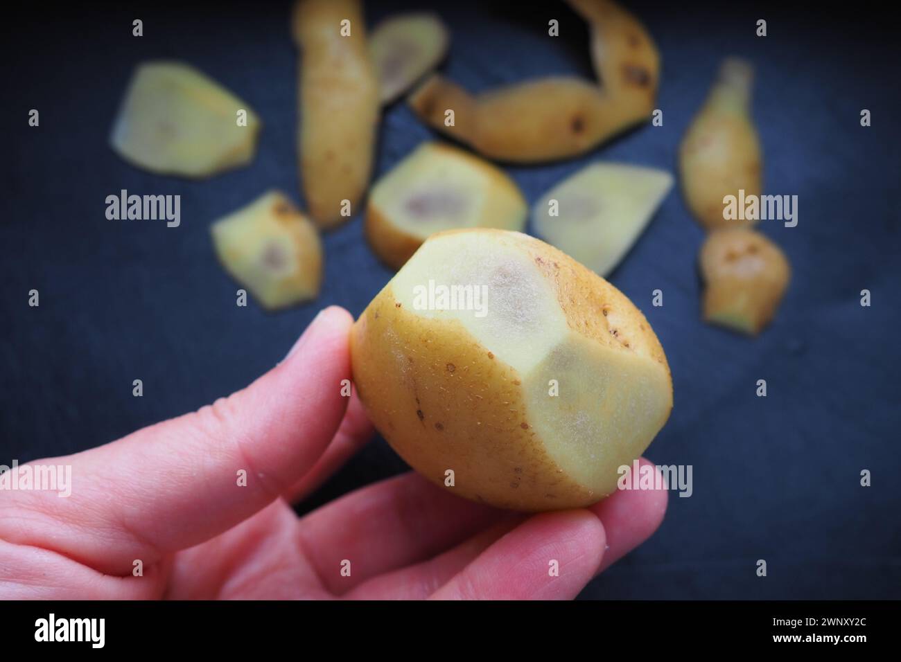 Fungal, viral or bacterial infection of the potato tuber. Dark spots ...