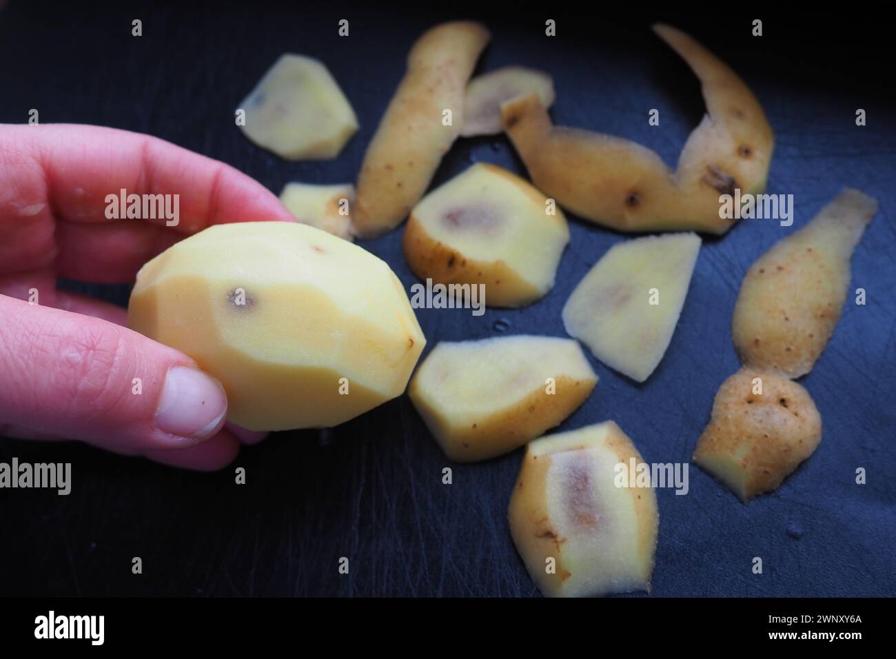 Fungal, viral or bacterial infection of the potato tuber. Dark spots ...