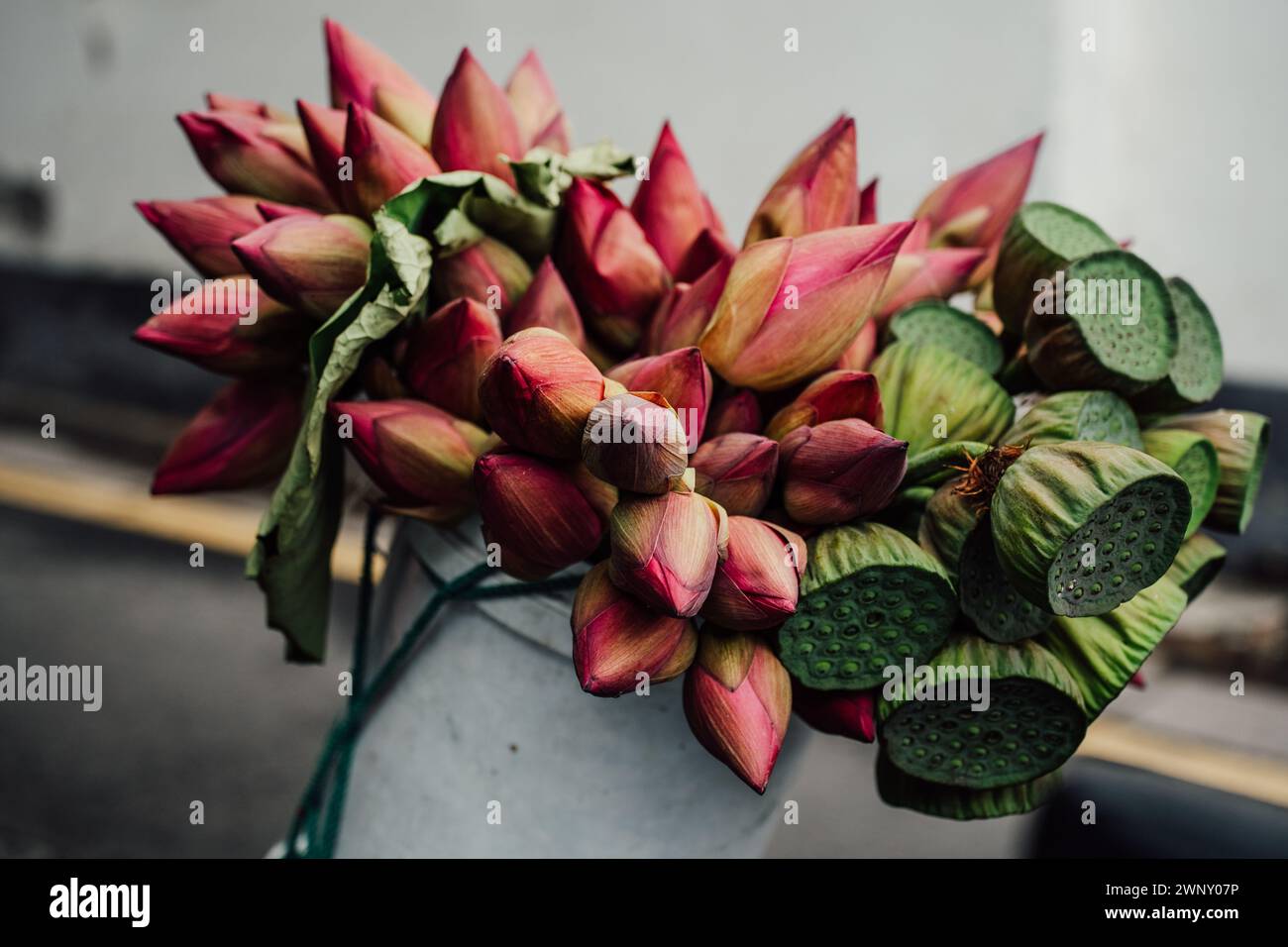 Lotus flower in Suzhou old town Stock Photo - Alamy