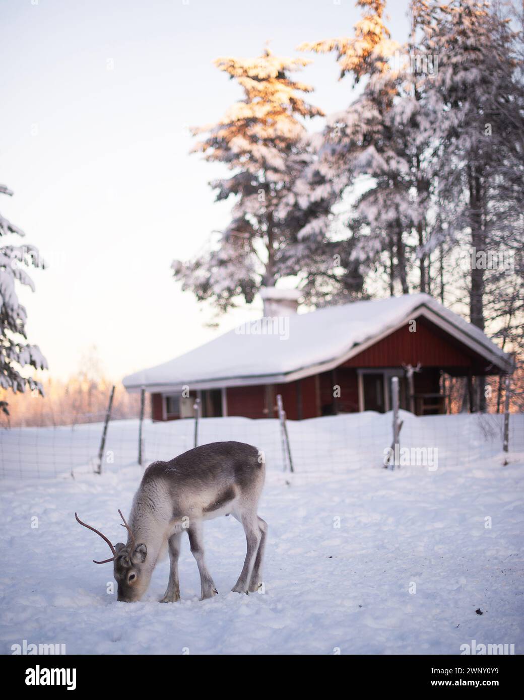 Photography of finland hi-res stock photography and images - Alamy