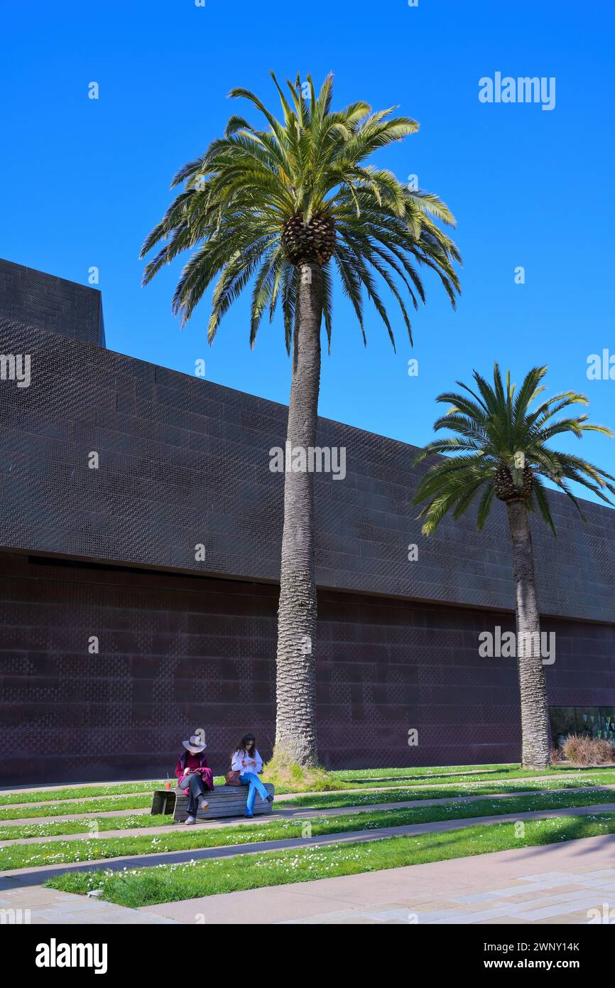 The famous De Young museum in the Golden Gate Park, San Francisco CA ...