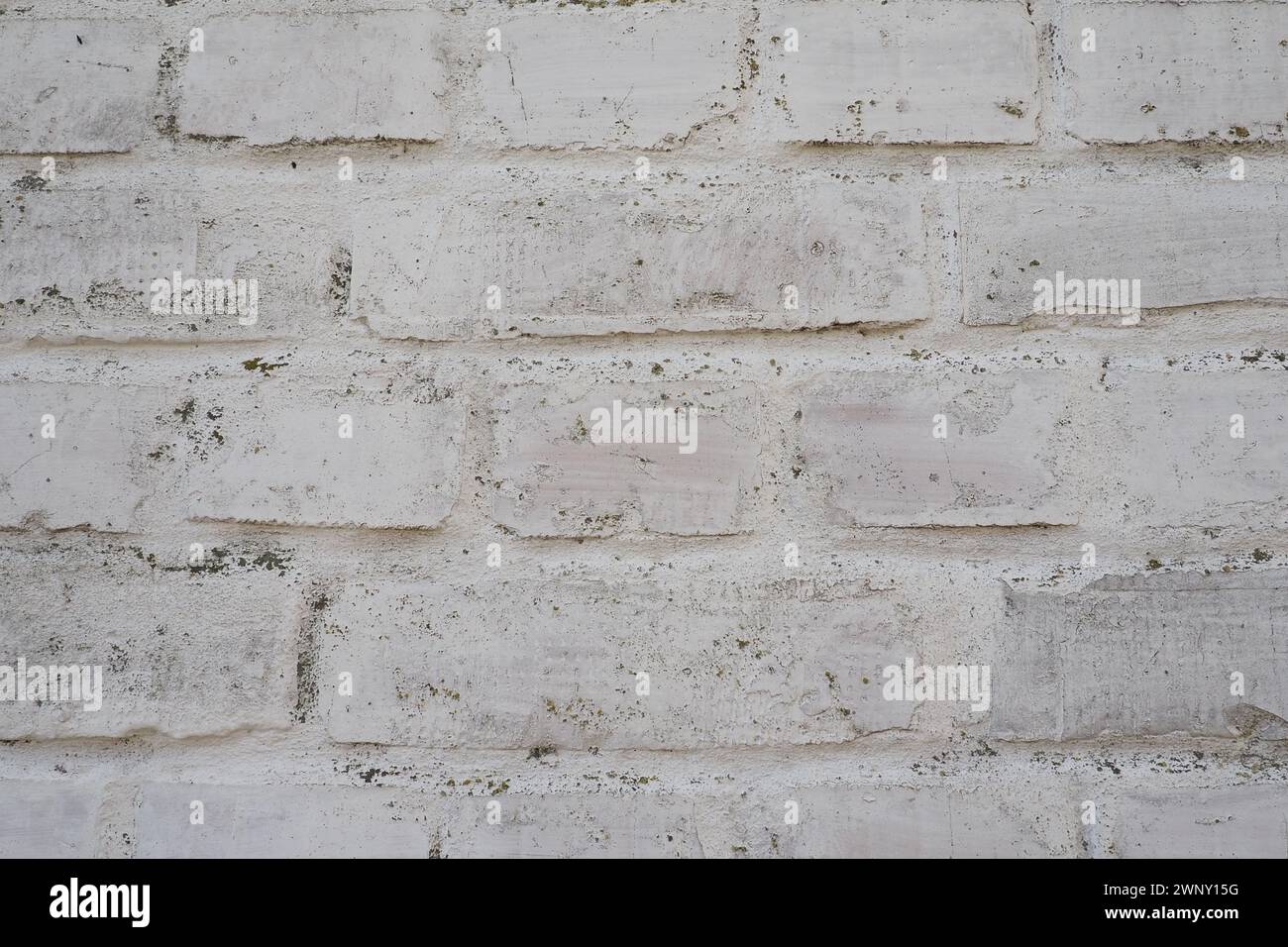 old white brick wall texture for background Stock Photo - Alamy