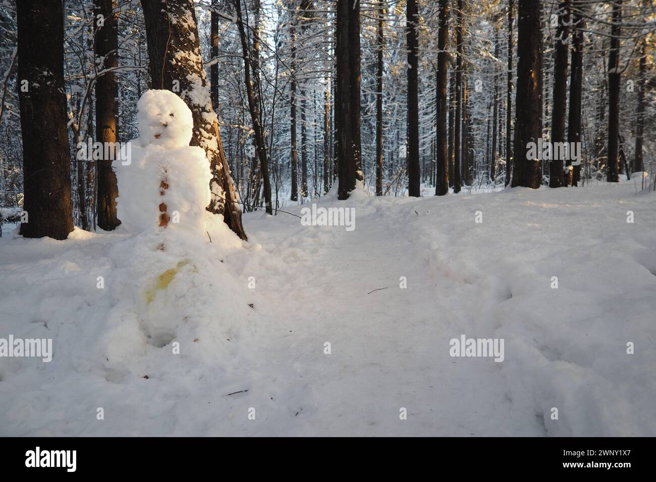 Snowman, snow woman, stylized snow figure of a person, sculpture ...