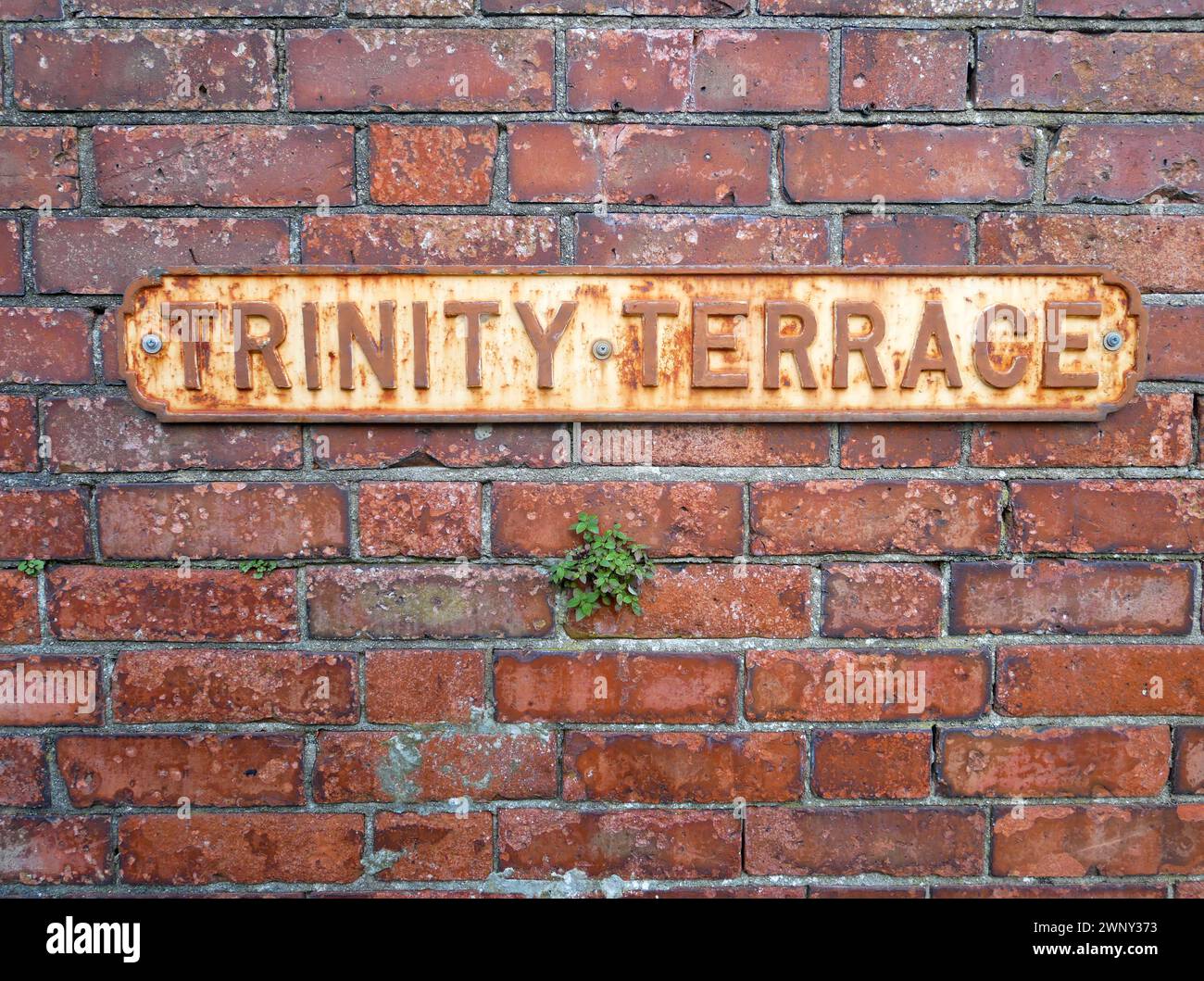Street name sign of Trinity Terrace on an old brick wall in the town of ...