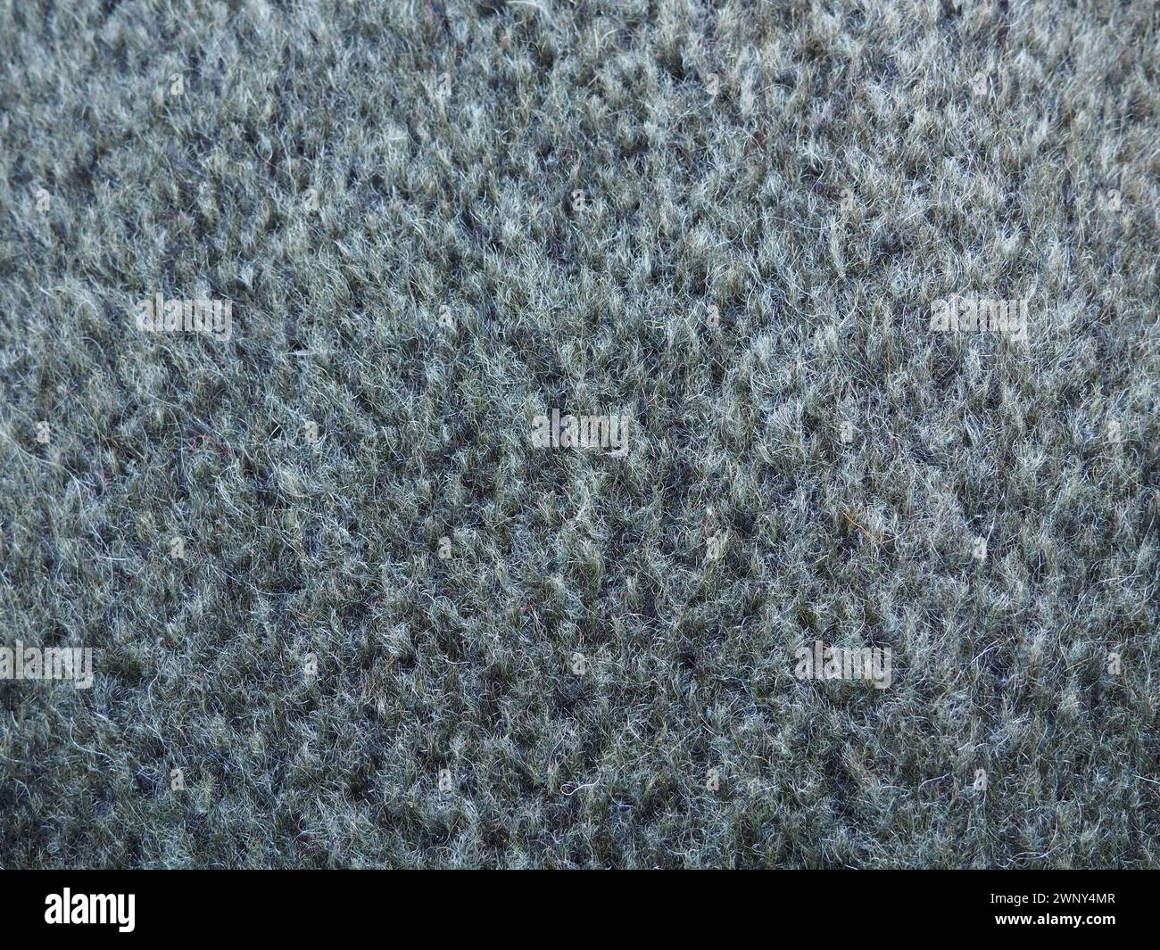 Felt hairy hi-res stock photography and images - Alamy