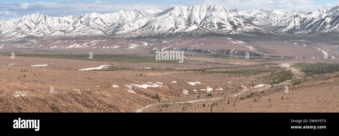 Panorama of Denali National Park from the Savage River Alpine Trail ...