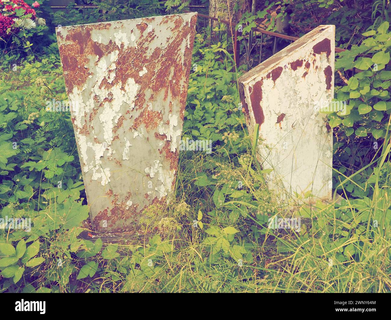 Cemetery with stone monuments. Old abandoned cemetery in the afternoon ...