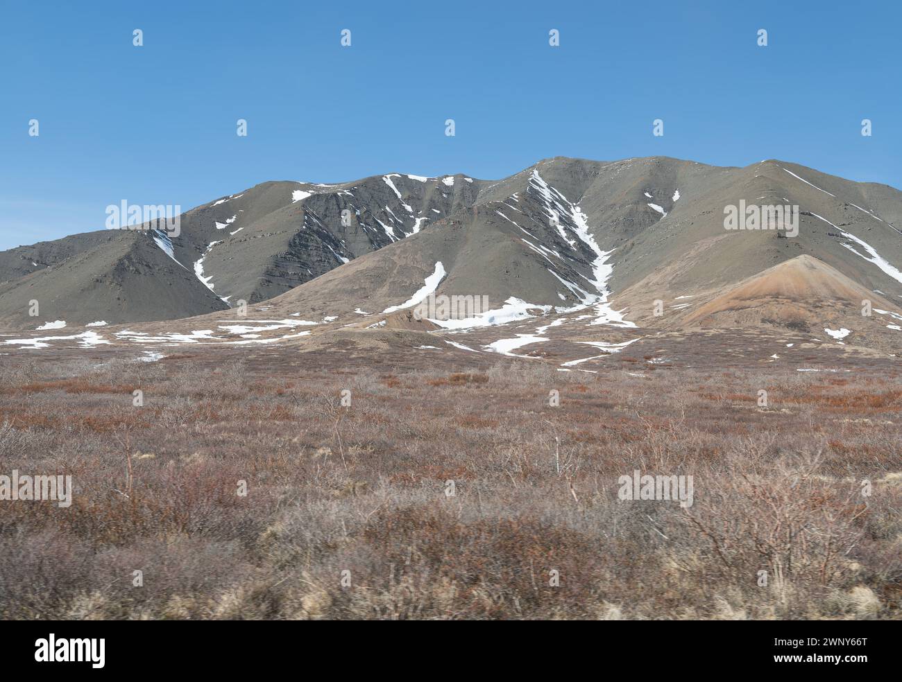 Denali National Park from the Savage River Alpine Trail, Alaska, USA ...