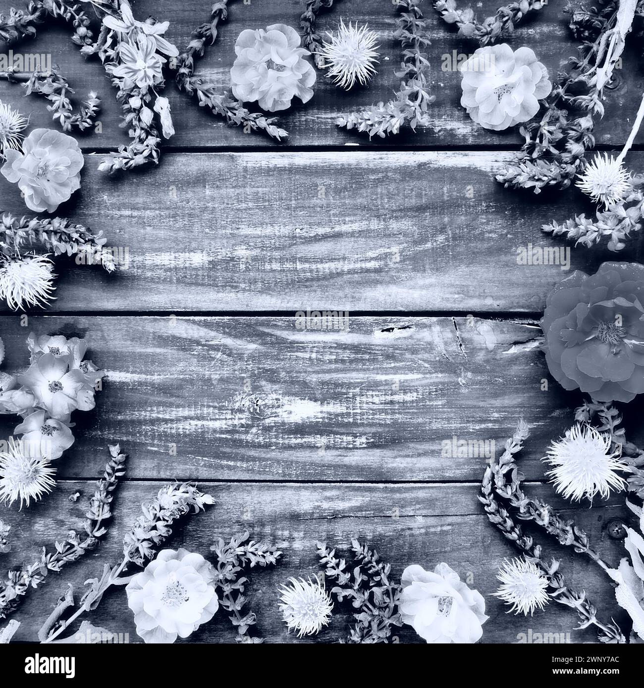 Flowers in a circle on a wooden background. Postcard roses, geraniums ...