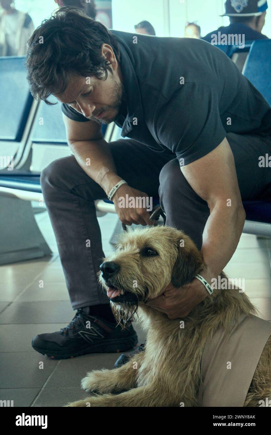 ARTHUR THE KING, Mark Wahlberg, 2024. ph: Carlos Rodriguez /© Lions ...