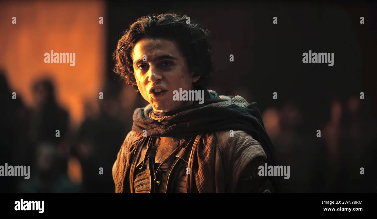 DUNE: PART TWO, (aka DUNE: PART 2, aka DUNE 2), Timothee Chalamet, 2024 ...